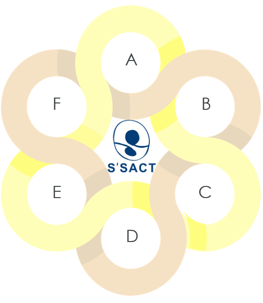 We Provide - SSACT Project Management LLP